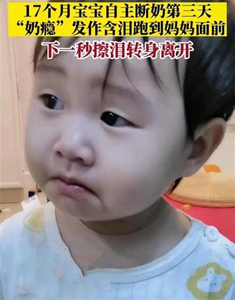 17个月宝宝自主断奶，奶瘾犯了含泪跑到妈妈面前，又忍住转身离开
