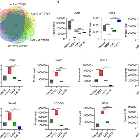 Analysis Of Proteins Expression Patterns A Venn Diagram Analysis Of Download Scientific