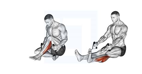 Peroneal Tendon Stretches