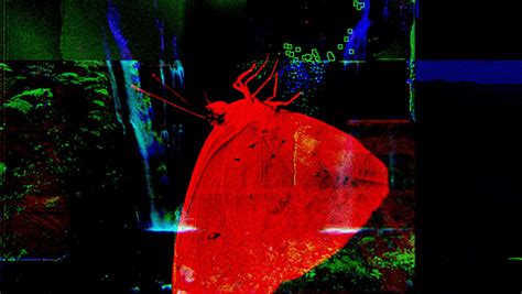 Audio Reactive Visualizer For Music Videos On Behance