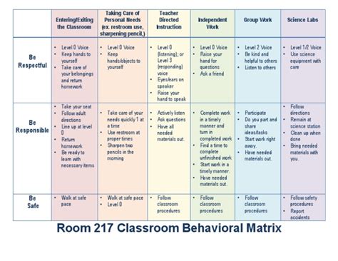 Classroom Behavioral Matrix Download Free Pdf Classroom Cognitive Science