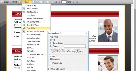 fastreport winforms 2017 2