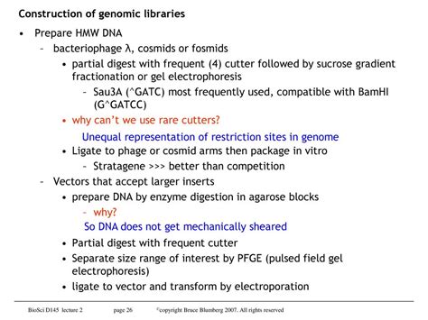 BioSci D Lecture Bruce Blumberg Ppt Download