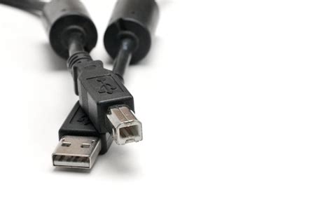Premium Photo USB A And USB B Printer Plug Cable On White Background