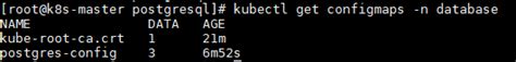 kubernetes部署postgresql集群 钟齐峰 博客园