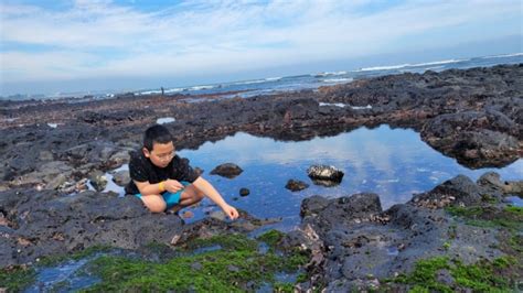 열두 살 사춘기 그 어드메 2춘기 정도 네이버 블로그