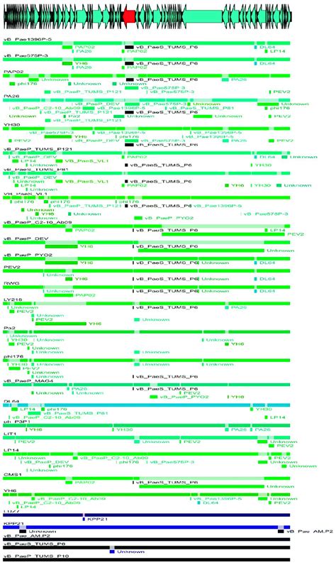 The Map Of Recombination Events Within The Genomes Of Litunavirus And Download Scientific
