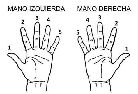 Cómo Tocar El Teclado O Piano Para Principiantes Teoria Sencilla