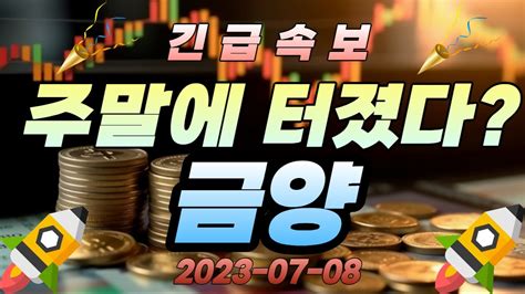 금양주가전망 금양주가주말에 터졌다급등 랠리 나온다070871 Youtube