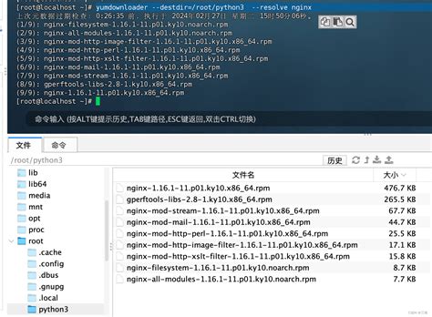 ky10 server nginx离线安装包 ky10离线安装arm 版本 nginx csdn博客