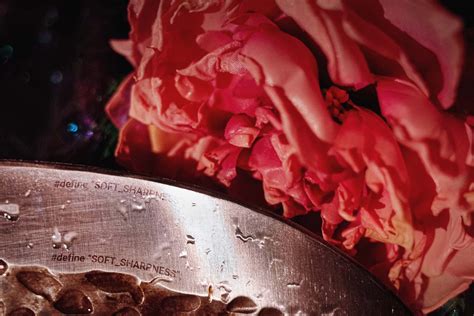 Jiaming Zhang Sbu Art Honors Project