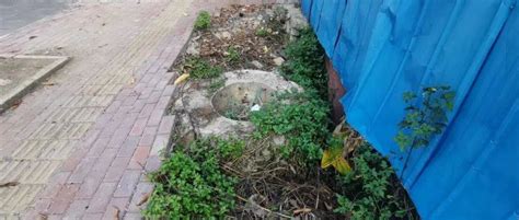 危险宾阳城区和宾路一处下水道井盖缺失另一处严重毁坏群众路过千万小心 人行道 修缮 井口