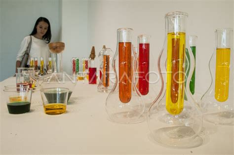 Pameran Function Follows Clarity Antara Foto