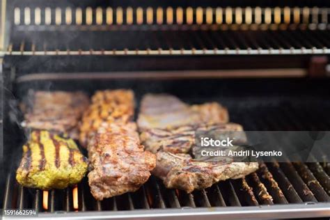 쇠고기 닭고기 돼지고기 칠면조 구이 스테이크 불에 구운 고기 여름 메뉴의 컨셉 고기에 대한 스톡 사진 및 기타 이미지 고기 광대한 굽기 Istock