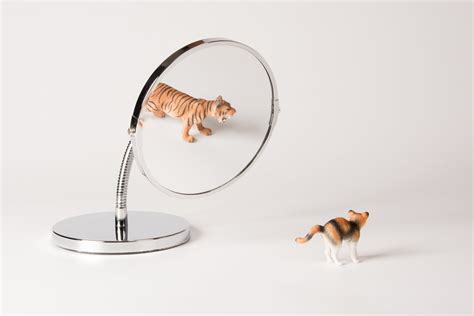 Definition And Examples Of False Analogies