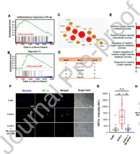 Gene Ontology And Gene Set Enrichment Analysis Of Rna Seq Data Reveals Download Scientific