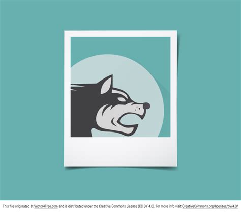 Polaroid Vector Template