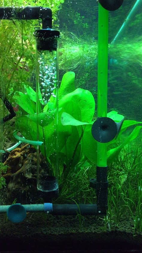 Diy Co2 Diffuser Rplantedaquarium