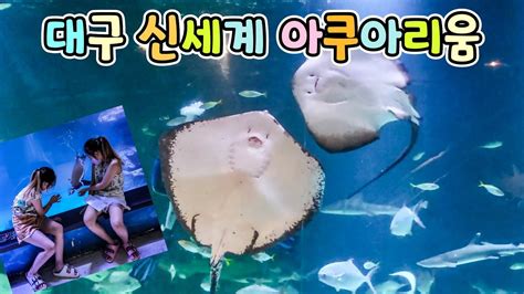 림지네vlog 대구 신세계백화점 아쿠아리움 Youtube