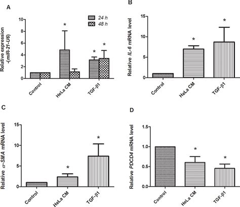 The Characteristics Of Stromal Fibroblasts After Treatment With Culture