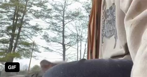 She Is A Total Cuddle Bug 9gag