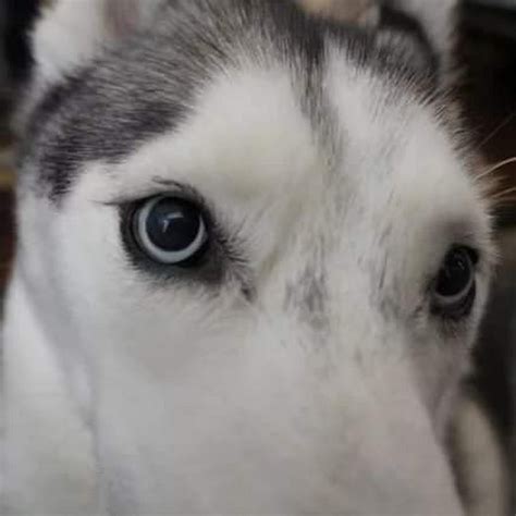 Sort Of Arbitrary Youtube