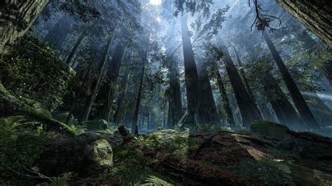 Star Wars Endor Wallpapers Wallpaper Cave