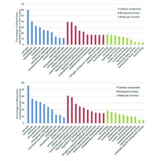 Top 10 Functional Classification Of Differentially Expressed Download Scientific Diagram