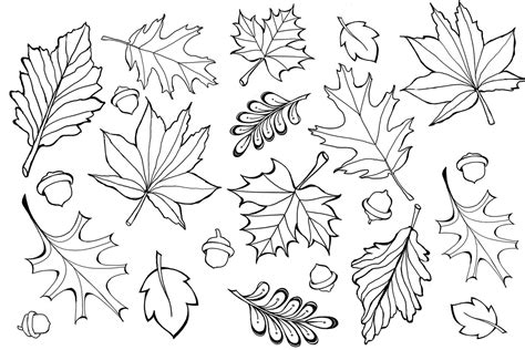 Листочки Шаблоны 70 фото