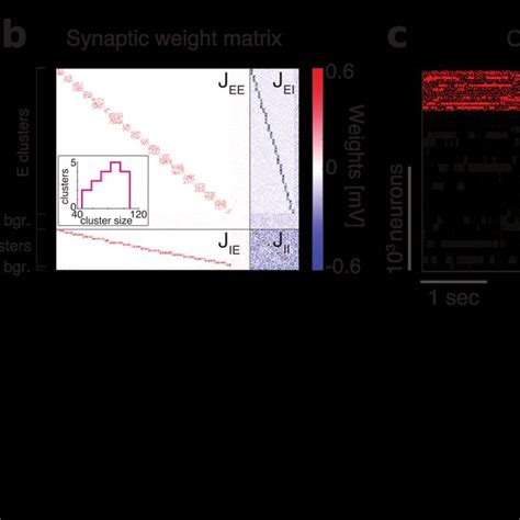 Biological Plausible Model Of Cortical Circuit A Schematics Of The Download Scientific