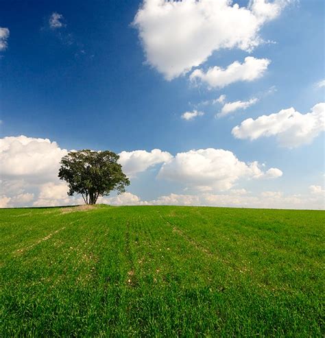 Цветочная ферма ПоЛе