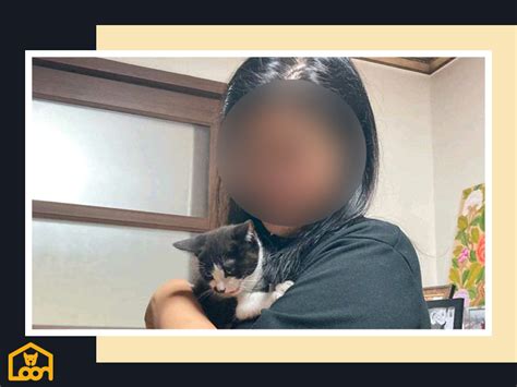 브리티쉬 혼종 책임분양 울산강아지분양 요크셔테리어분양가 새끼강아지분양 잉글리쉬불독 천안고양이분양 가정강아지분양 강아지입양 보더콜리 빅토리아펫보호소 입양완료