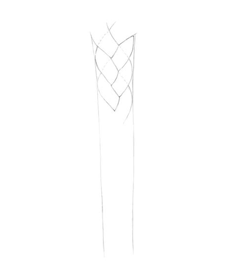 How To Draw A Braid Envato Tuts