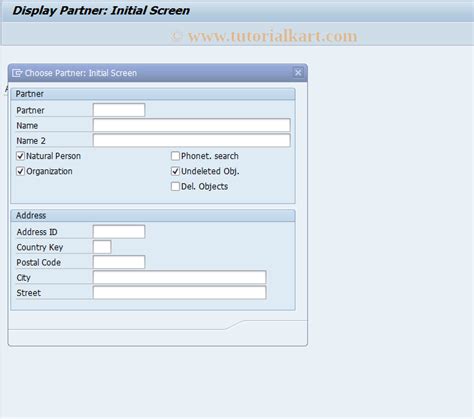 FZP SAP Tcode Display Partner