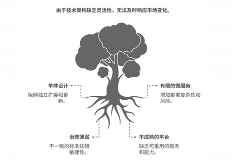 技术架构缺乏灵活性，如何应对变化需求？ Csdn博客