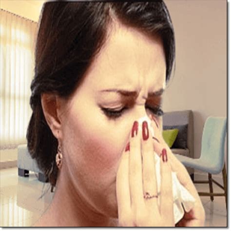 계절성 알레르기 증상 원인 및 계절성 알레르기 비염