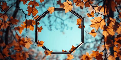 가을 잎 육각형 프레임 배경 아름다운 형성은 단풍 육각형 프레임 배경 육각형을 형성하는 아름다운 단풍 나뭇잎 배경 일러스트 및 사진 무료 다운로드 Pngtree