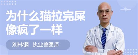 为什么猫拉完屎像疯了一样 蘑菇宠医