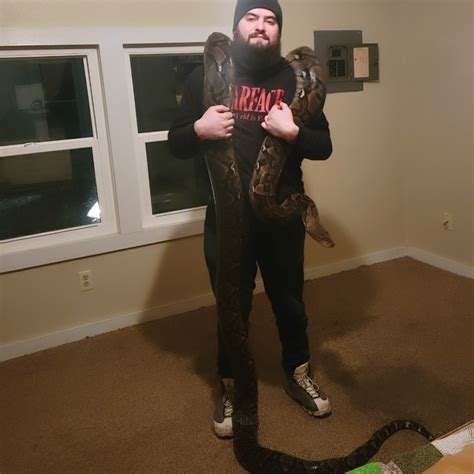 8 X 6 X 8 For Reticulated Python Reticulated Pythons Morphmarket Reptile Community