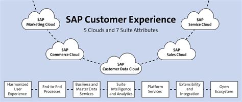 Sap Cx Solutions What Sap Customer Experience Has To Offer Alokai