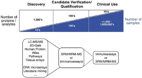 Targeted Quantitative Proteomics Technologies And Their Role In Download Scientific Diagram