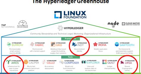 Idm実験室 Hyperledger Indy Ursa Ariesのオンラインコースで自己主権型アイデンティティについて学習する