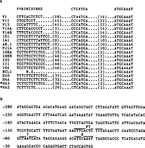 Figure 1 From Multiple Dna Sequence Elements Are Necessary For The