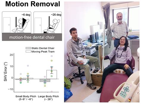 Research News When Our Vertical Perception Gets Distorted Body Pitch Translational Body