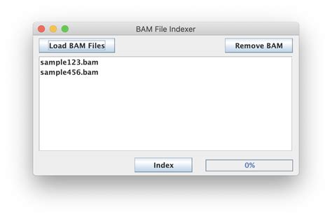 Bam Indexer Scriptmanager