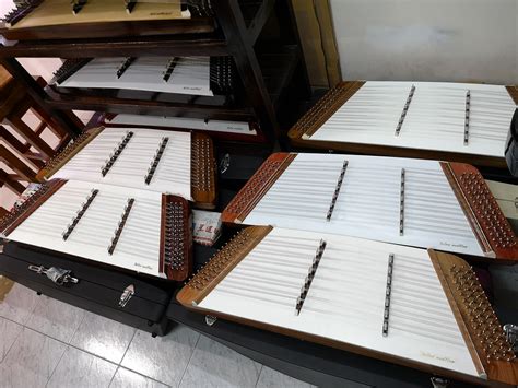 ขิมไทย หลากหลายให้คุณเลือกสรร ทั้งขิมคางหมู