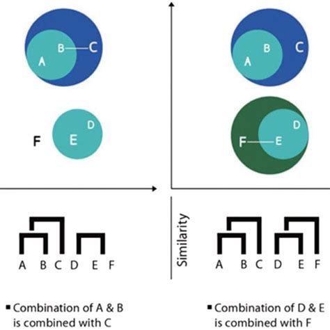 The Graphical Representation Of The Hierarchical Clustering Resulting