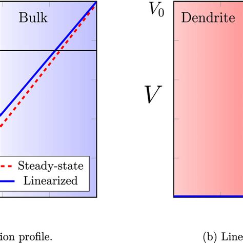 The Simplified Form Of The Profiles During The Dendritic Evolution
