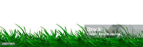 잔디밭 푸른 잔디 와 완벽 한 경계 잔디의 녹색 실루엣의 수채화 그림입니다 여름 잔디 초원 요소 디자인 자연 풍경 봄 허브