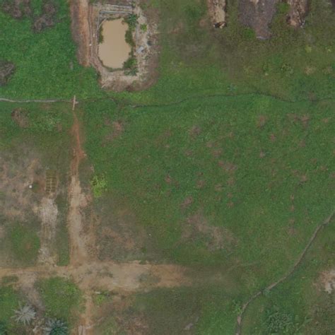 Clone Palm Trees Object Detection Model V2 2024 03 06 126pm By